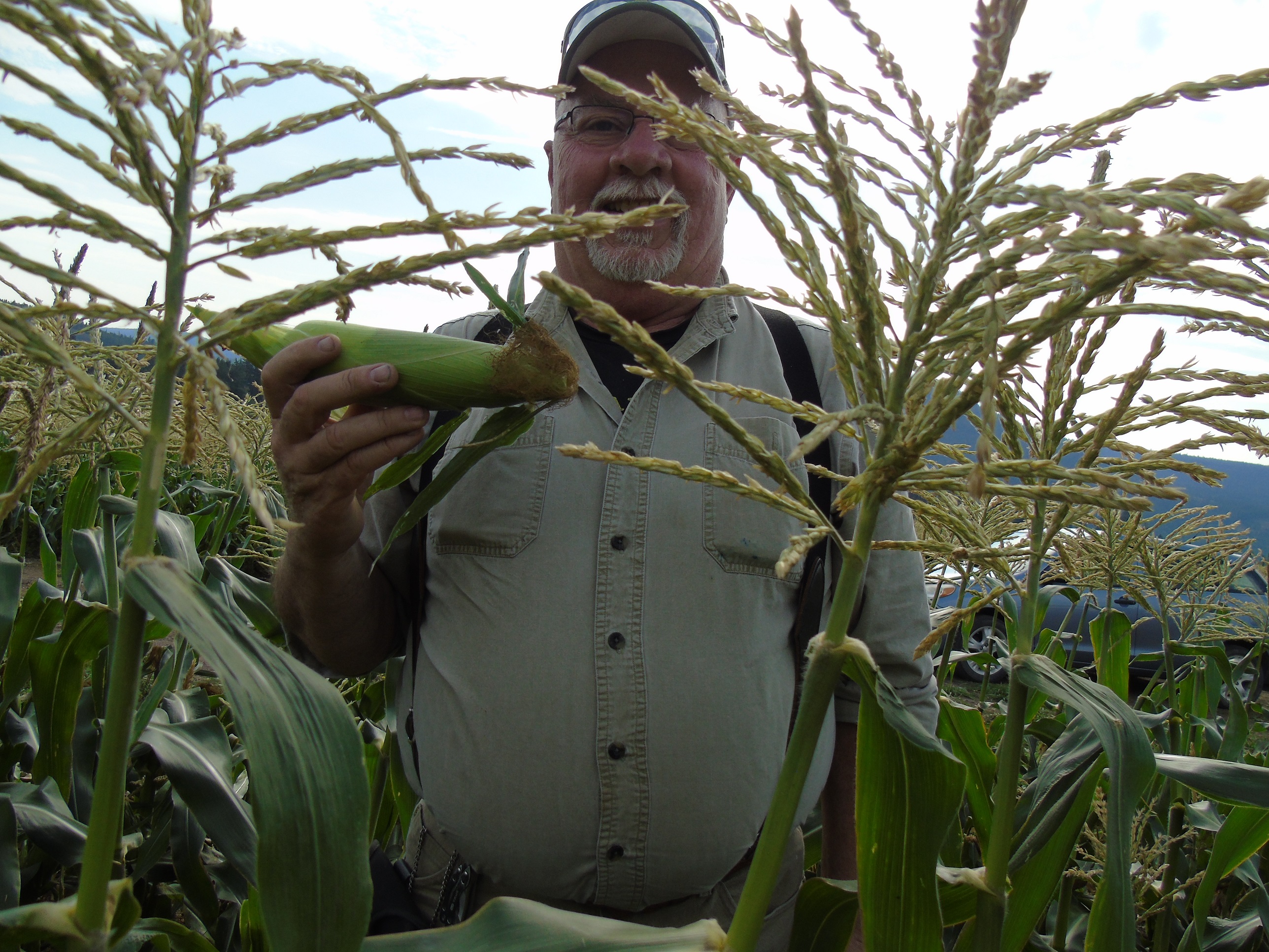 Soda Creek Sweet Corn! – Linda Studley